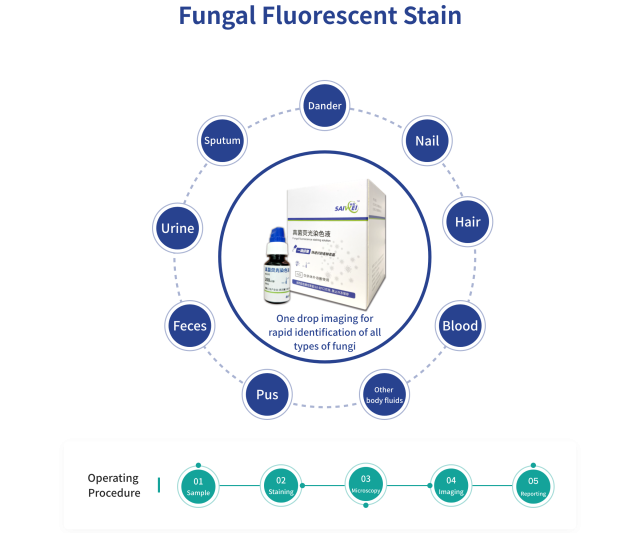 Fungal Fluorescent Staining Solution – Thalysbio