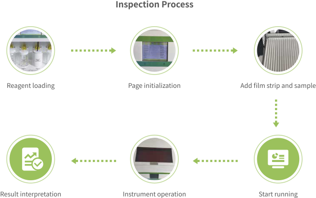 Line Blot I Fully-automatic Western Blotting Instrument – Thalysbio